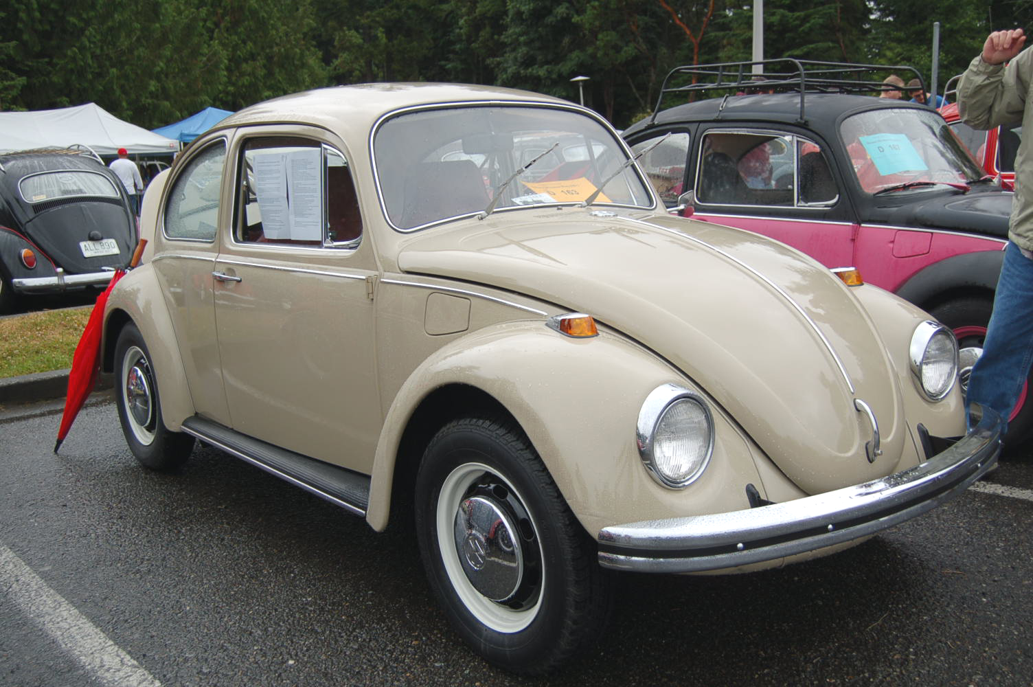 Vintage Volkswagen Bug Original Paint Color Samples, from Bustopia.com